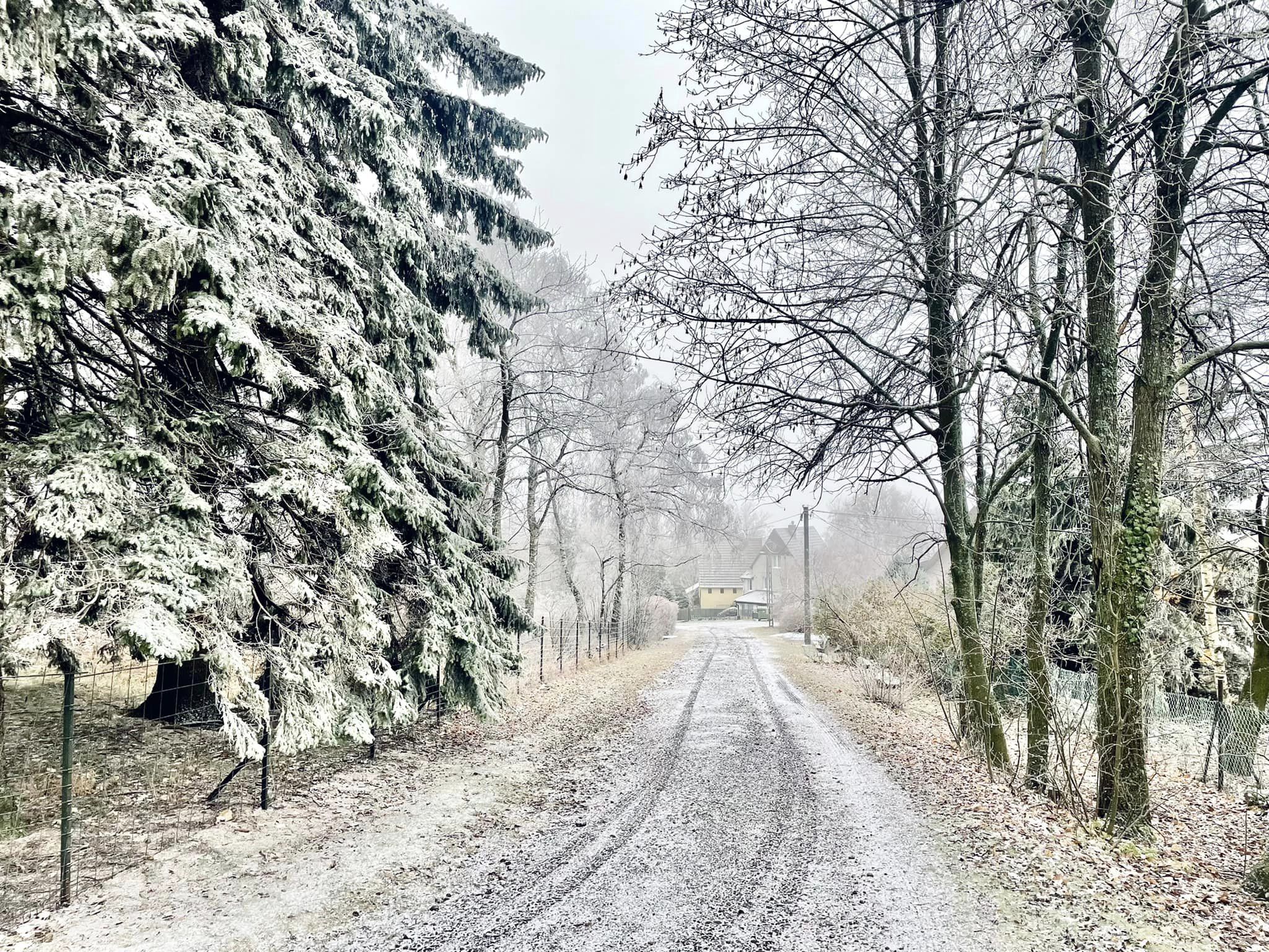 Hófúvás, szélvihar, hidegbetörés – ez vár ránk a hétvégén | szmo.hu