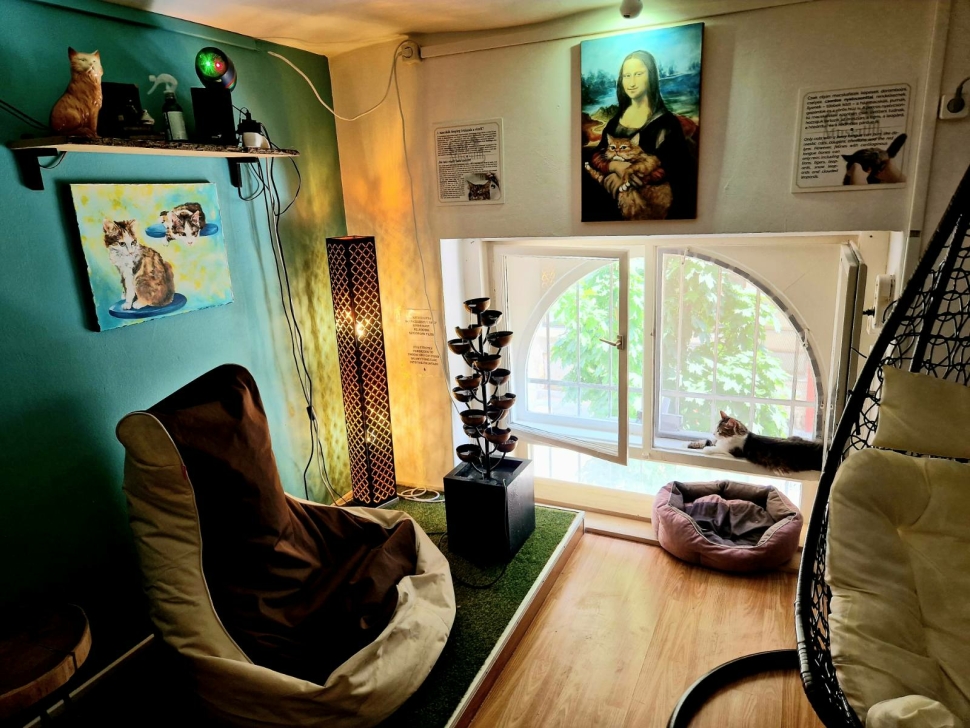 25 zseniális hely Budapesten, ahol teljesen ellazulhatsz | szmo.hu